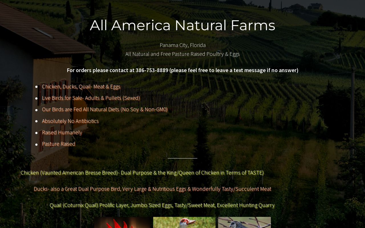 All America Natural Farms